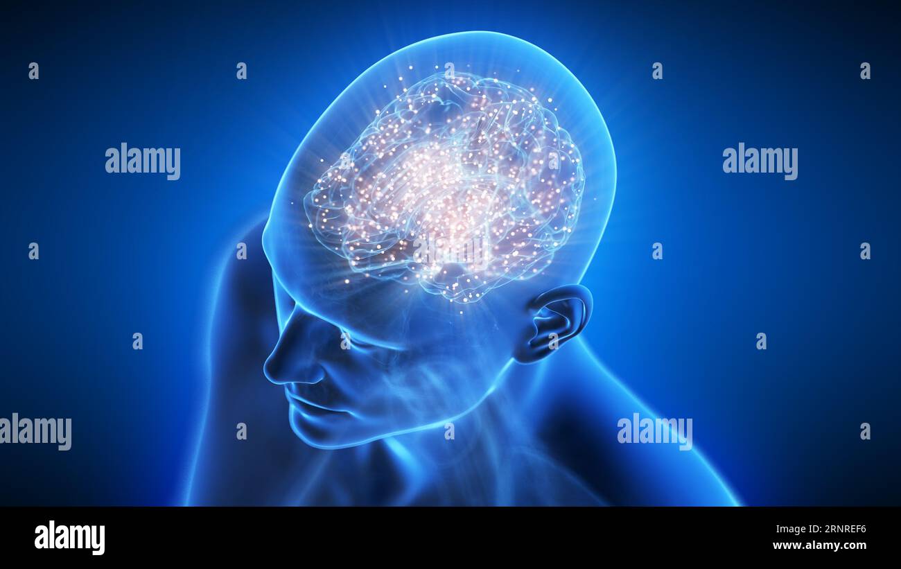 Active human brain, illustration Stock Photo - Alamy