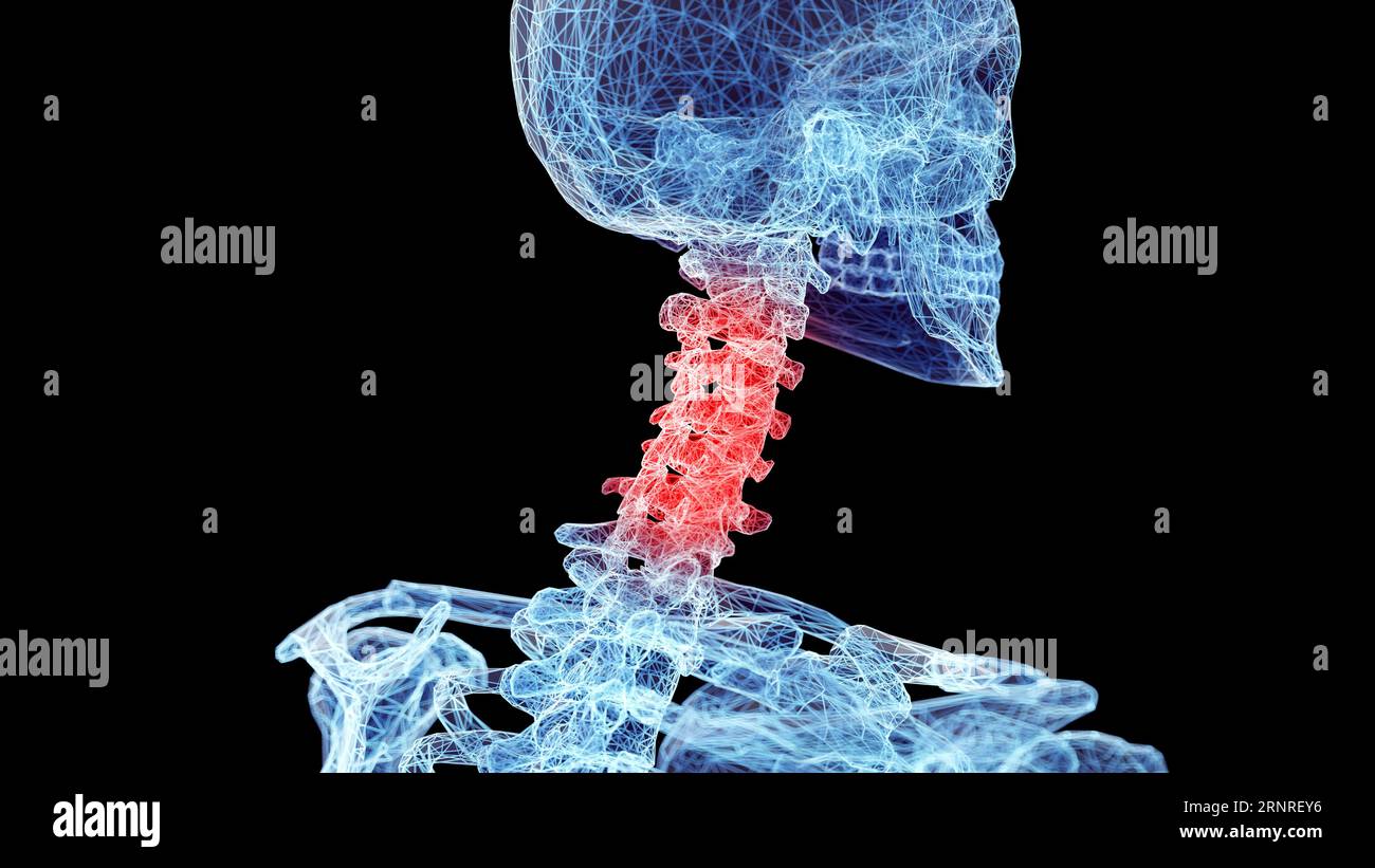 Neck bones, illustration Stock Photo - Alamy