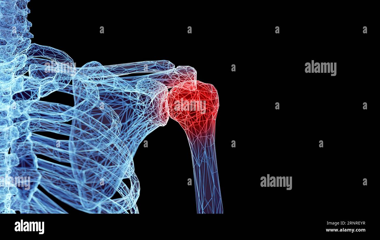 Shoulder bones, illustration Stock Photo - Alamy