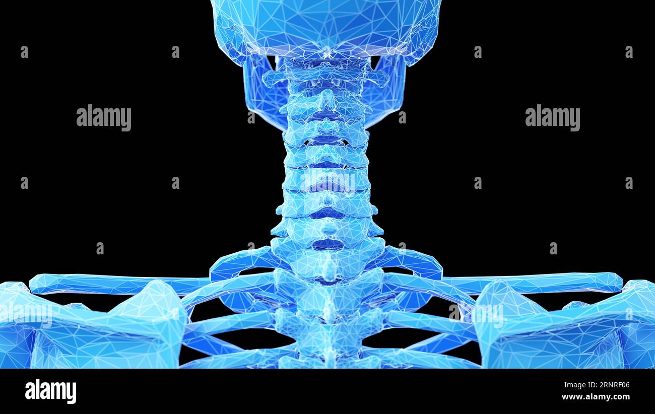 Cervical spine bones, illustration Stock Photo - Alamy
