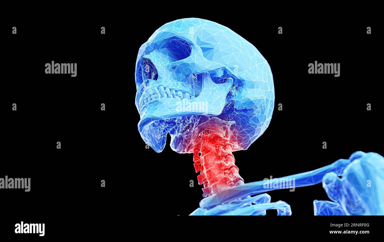 Cervical spine bones, illustration Stock Photo - Alamy