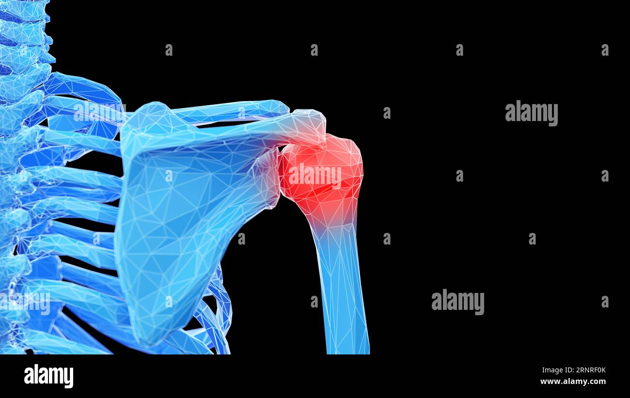 Shoulder bones, illustration Stock Photo - Alamy