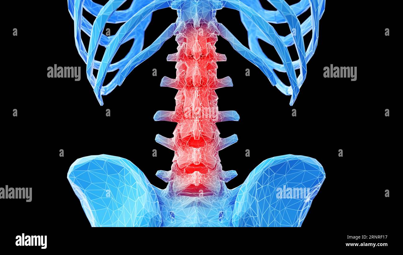 Back bones, illustration Stock Photo - Alamy