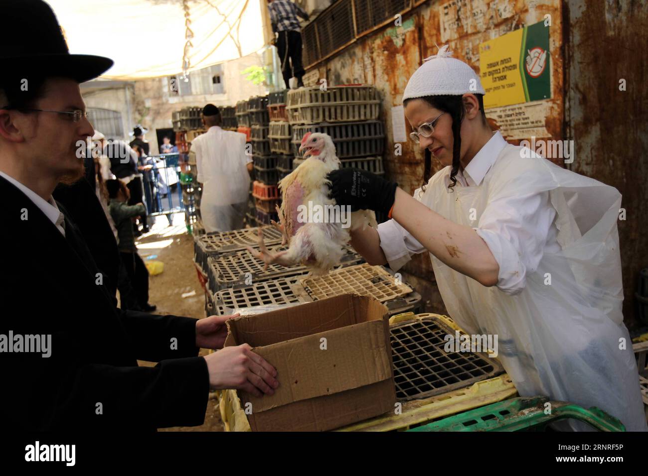 Kaparot ceremony hi-res stock photography and images - Alamy