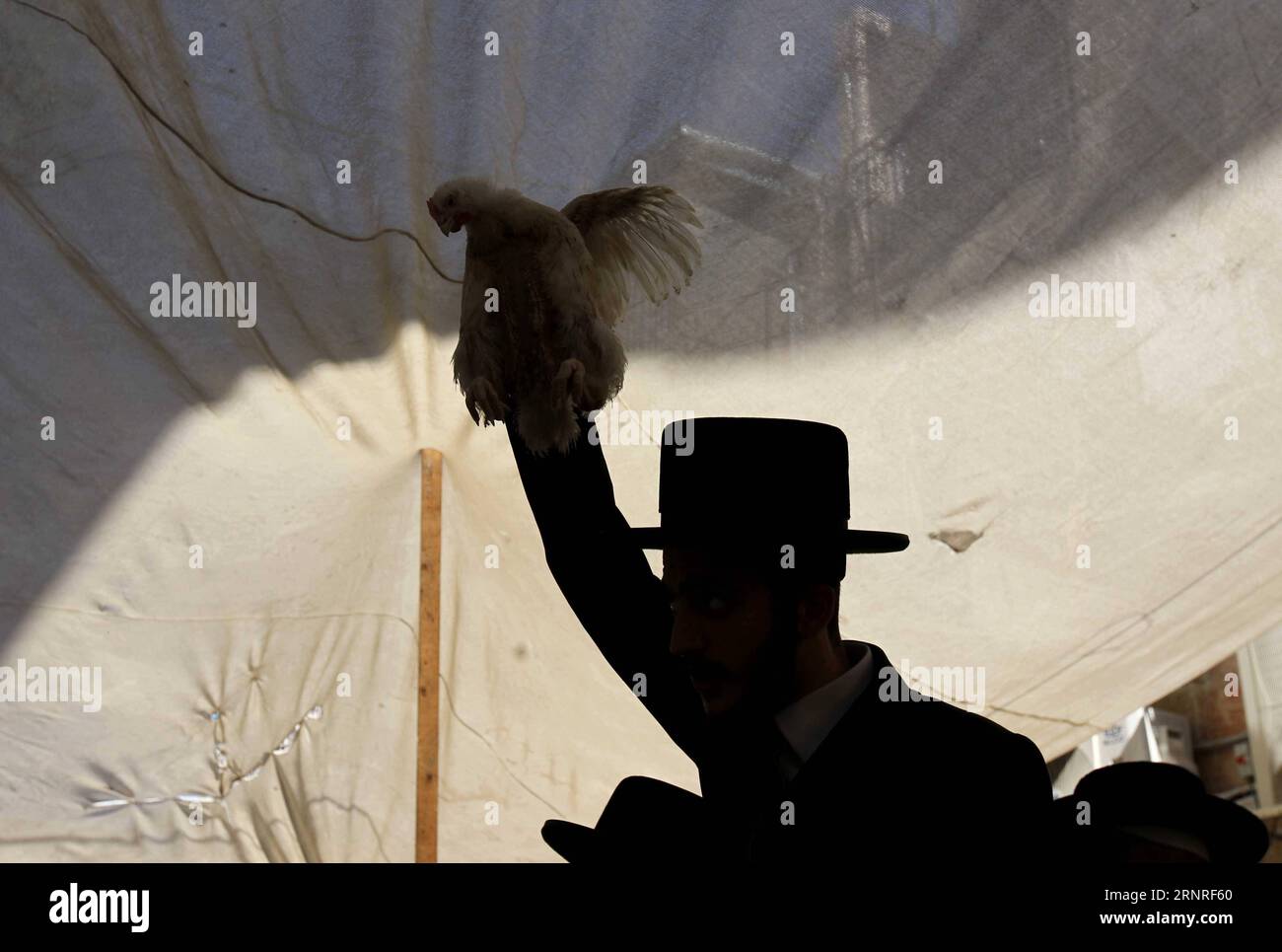 (1700927) -- JERUSALEM, Sept. 27, 2017 -- A ultra-Orthodox Jew performs ...