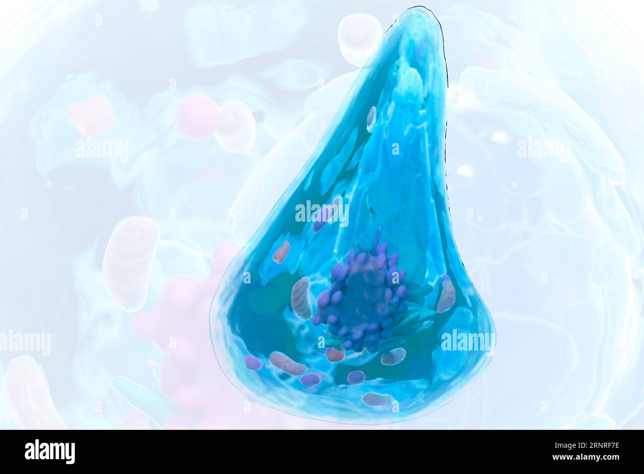 Cells in a water drop, illustration Stock Photo - Alamy