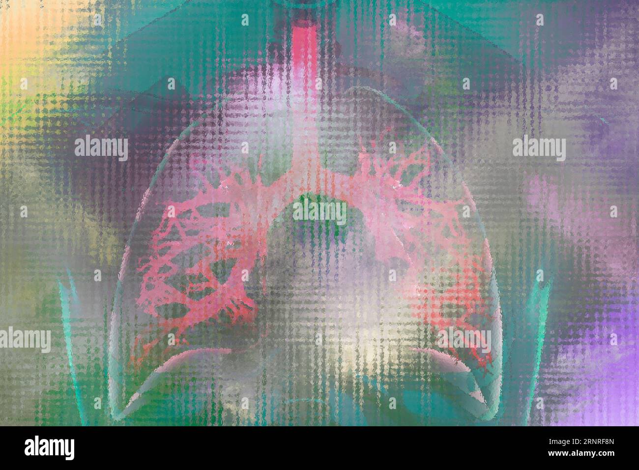 Human lungs, illustration Stock Photo - Alamy