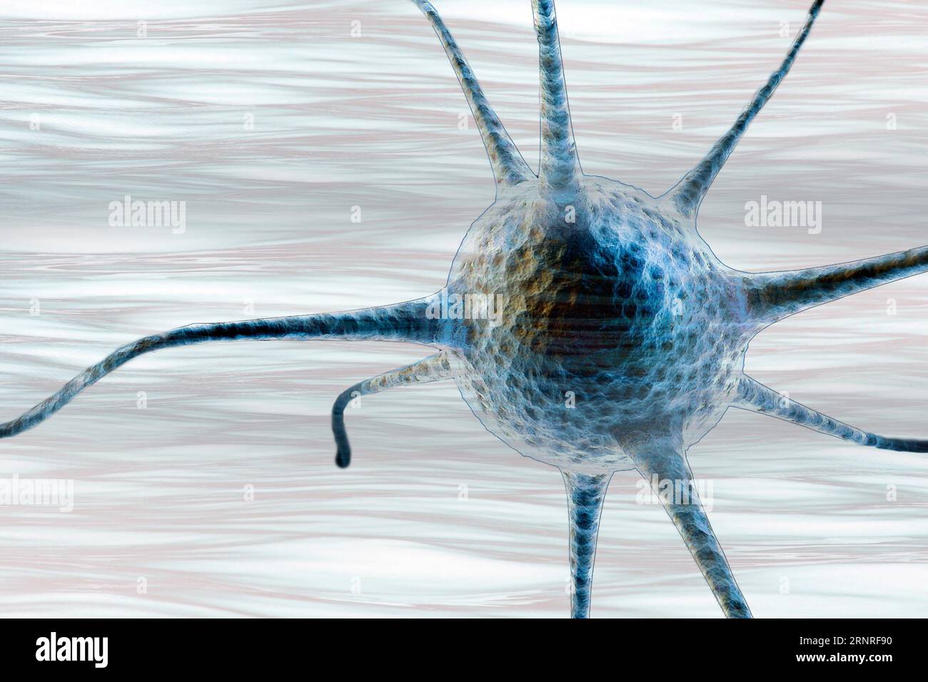 Nerve cell, illustration Stock Photo - Alamy