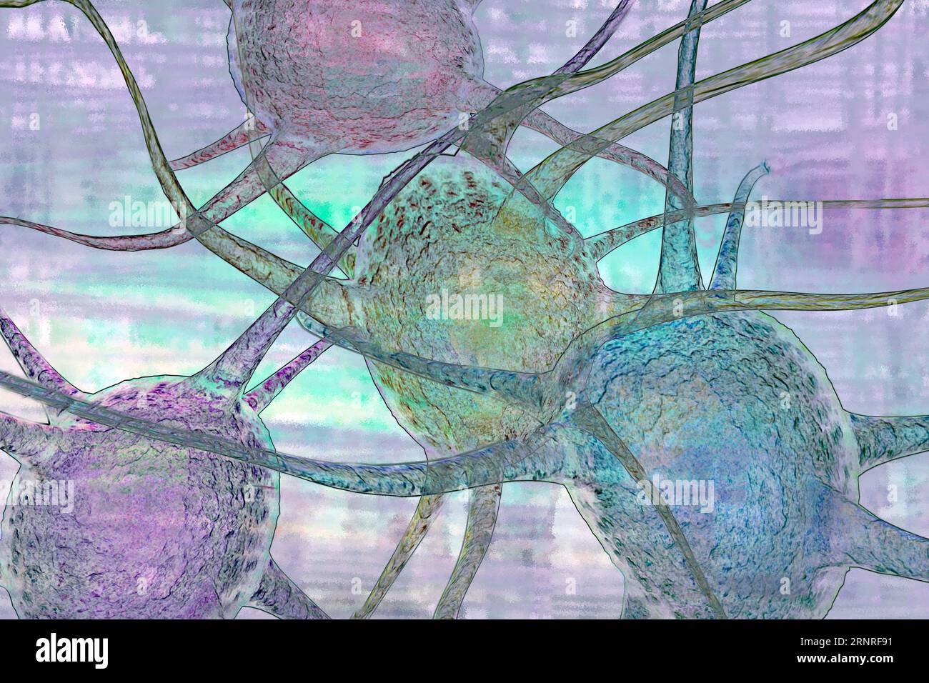 Nerve cells, illustration Stock Photo - Alamy