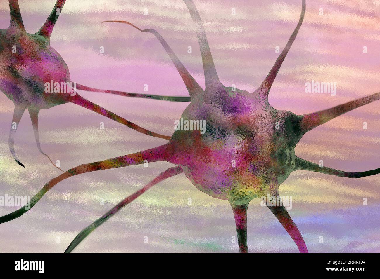 Nerve cells, illustration Stock Photo - Alamy