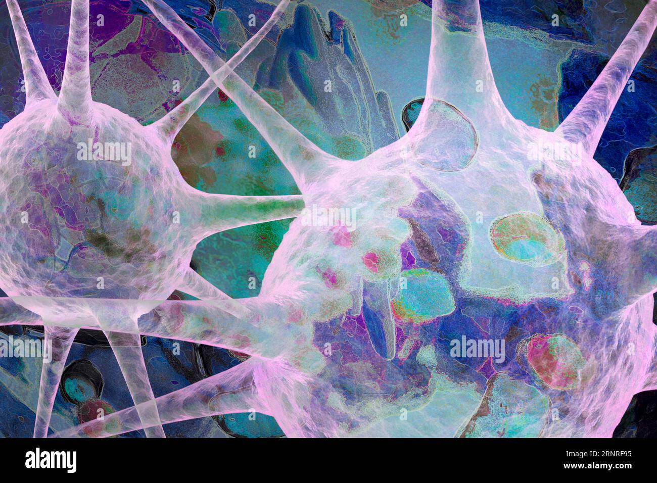 Nerve cells, illustration Stock Photo - Alamy