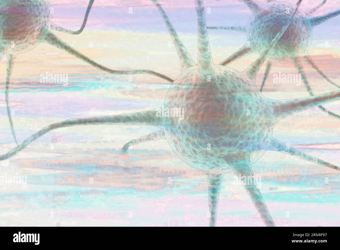 Nerve cells, illustration Stock Photo - Alamy
