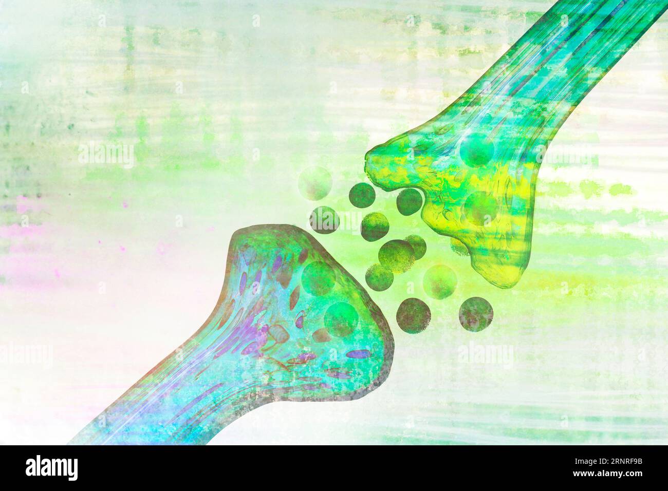 Nerve synapse, illustration Stock Photo - Alamy Nerve synapse, illustration Stock Photo - Alamy