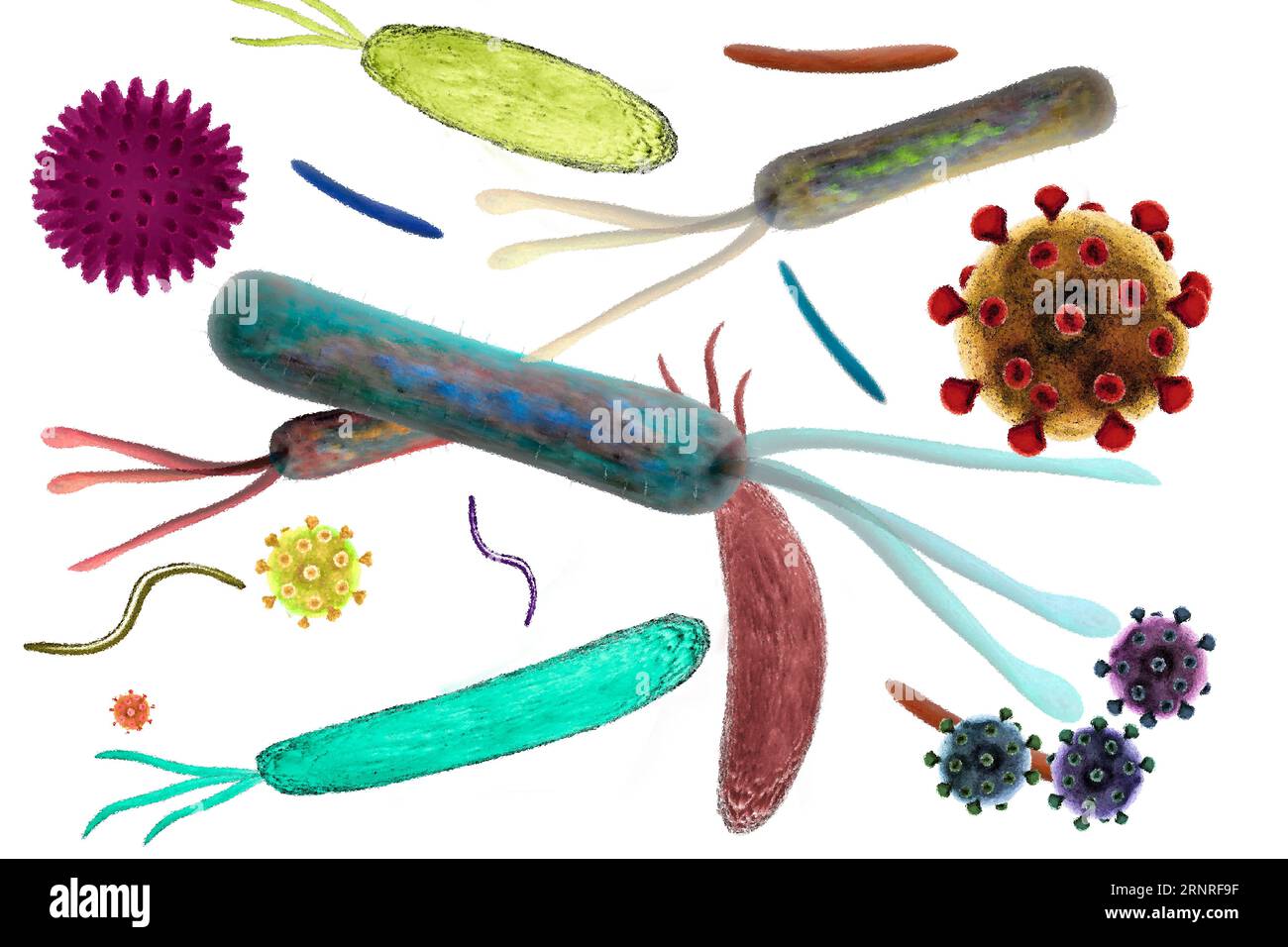 Bacteria and viruses, illustration Stock Photo - Alamy