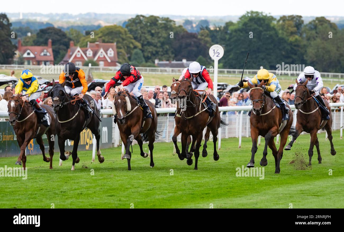 Flat racing horse hi-res stock photography and images - Alamy
