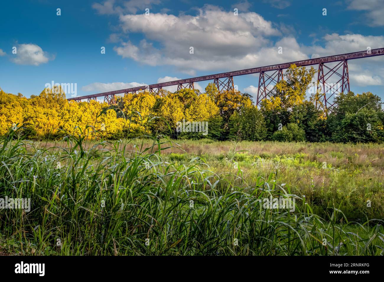 tulip train trestle bridge tracks indiana Stock Photo - Alamy