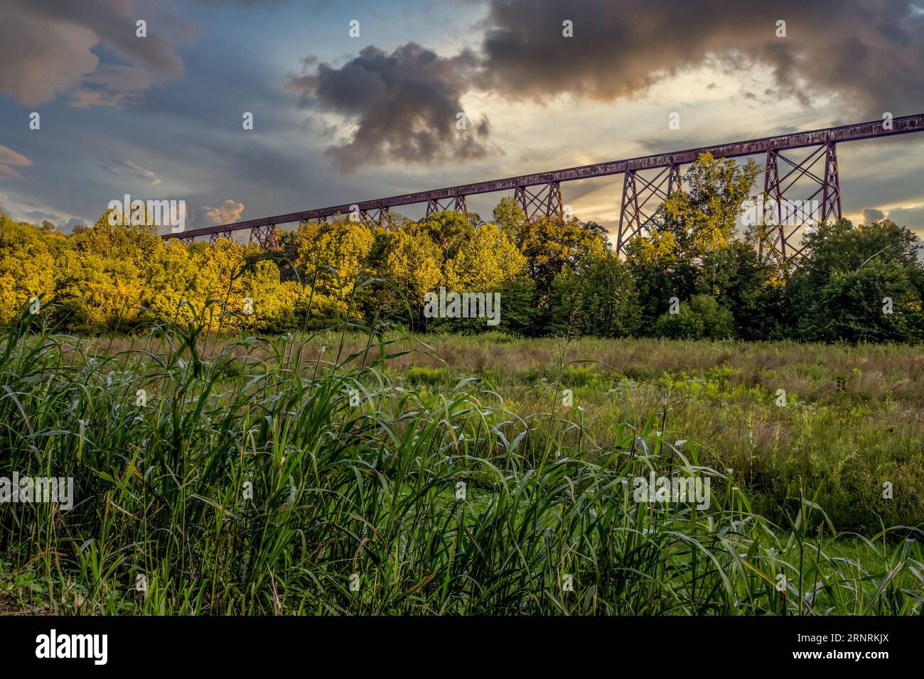 tulip train trestle bridge tracks indiana Stock Photo - Alamy