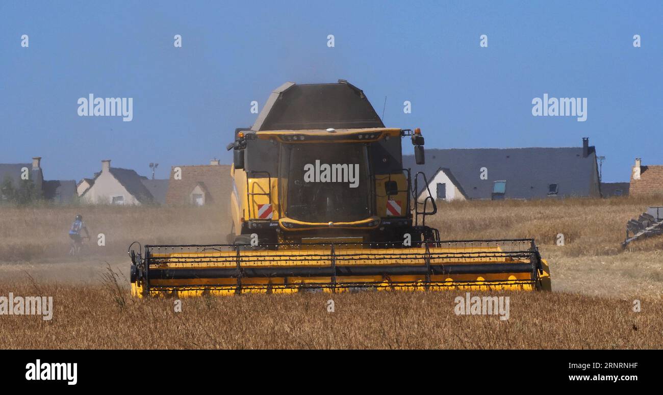 Combine harvester near basly in hi-res stock photography and images - Alamy
