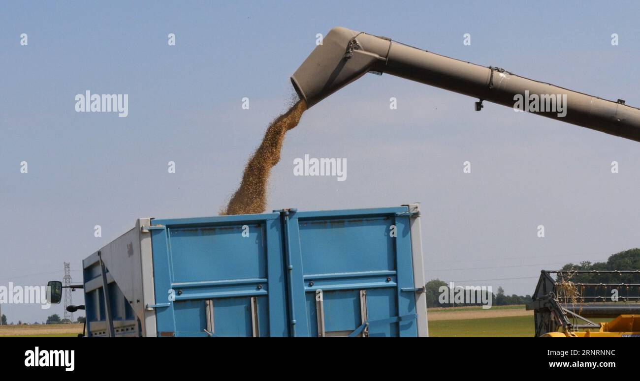 Combine harvester near basly in hi-res stock photography and images - Alamy