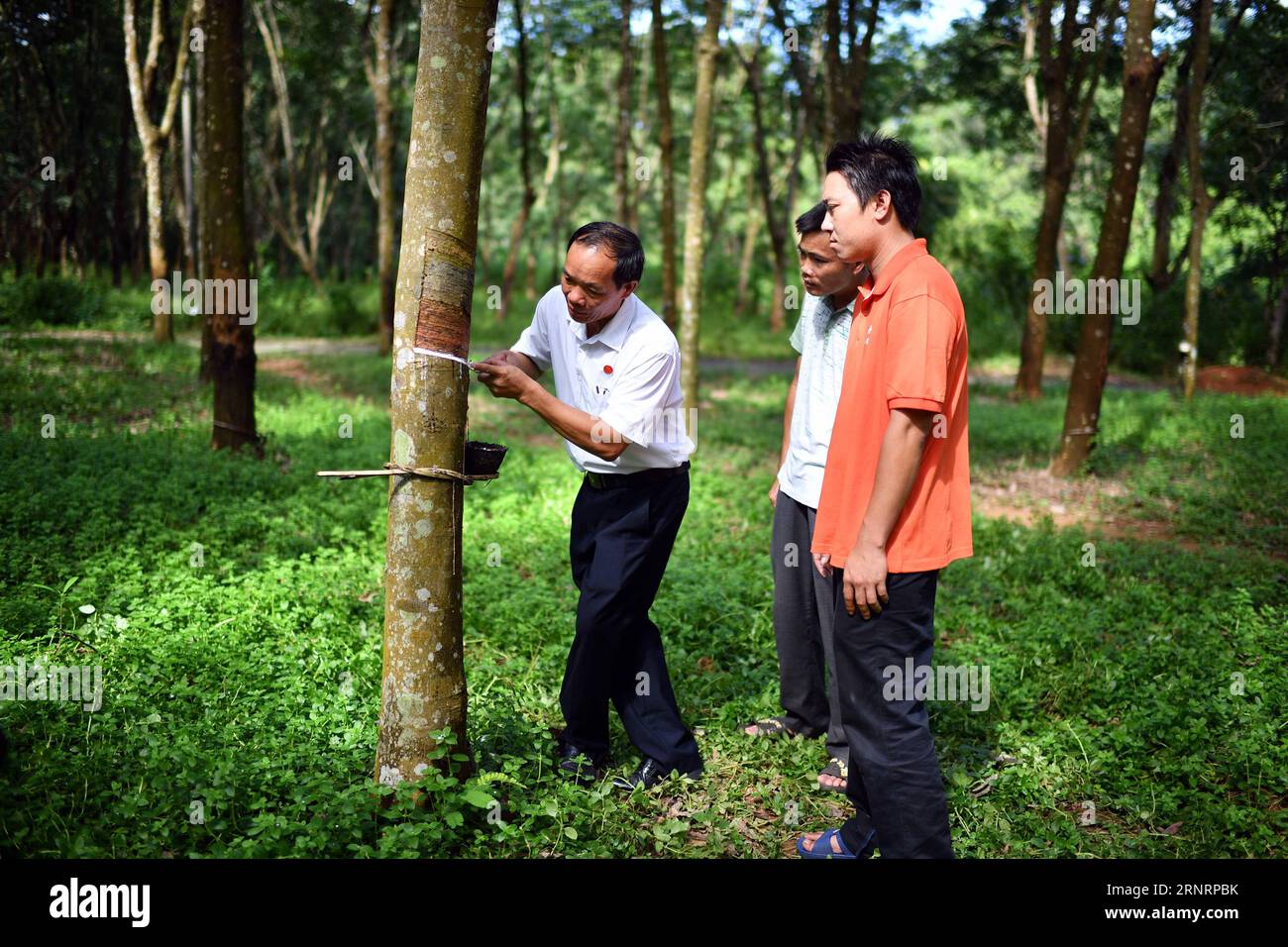 (171012) -- BEIJING, Oct. 12, 2017 -- Yang Fengji (L), secretary of the ...
