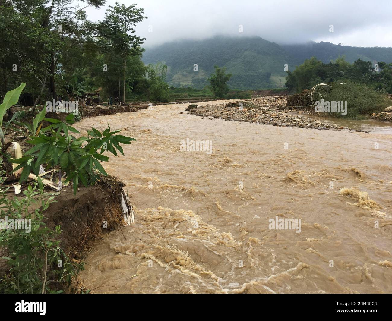 The four days dead hi-res stock photography and images - Alamy