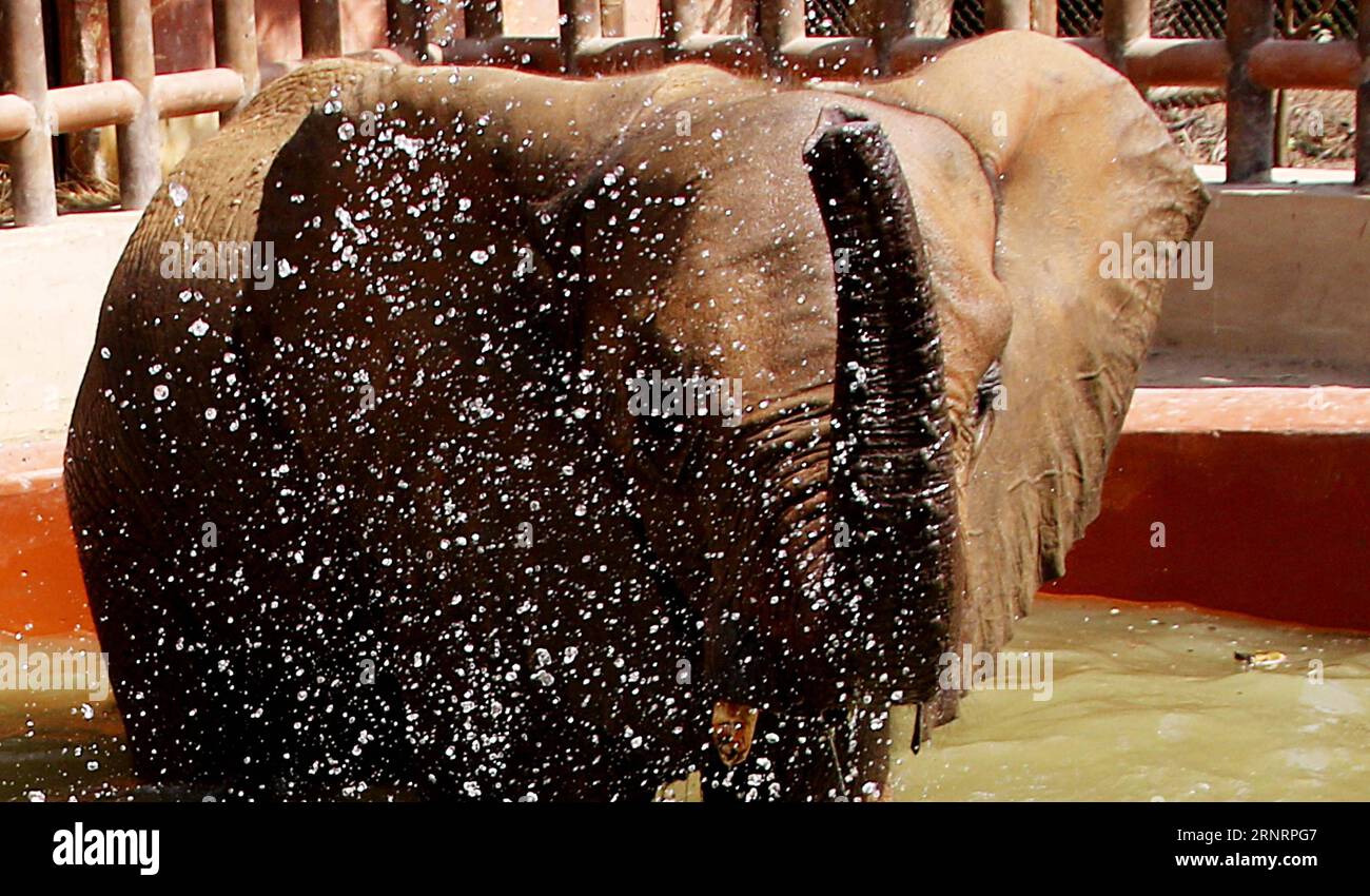 Karachi zoo hi-res stock photography and images - Alamy