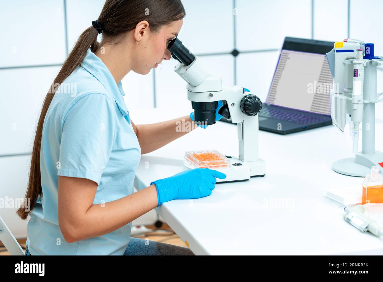 Cell Migration and Invasion Assays: In cancer and developmental ...