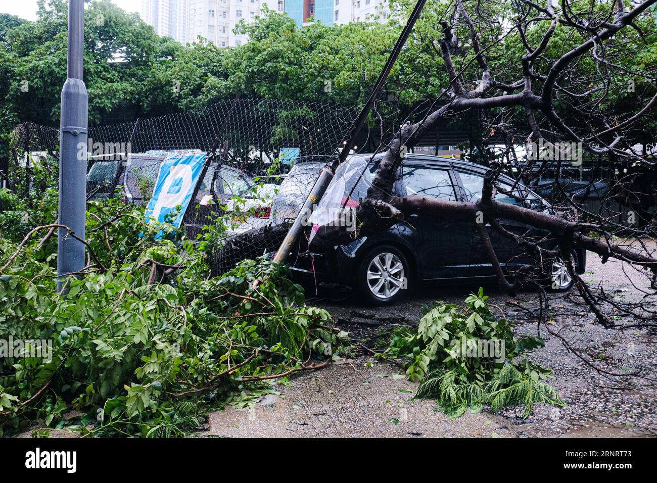 Car warning signals hi-res stock photography and images - Alamy