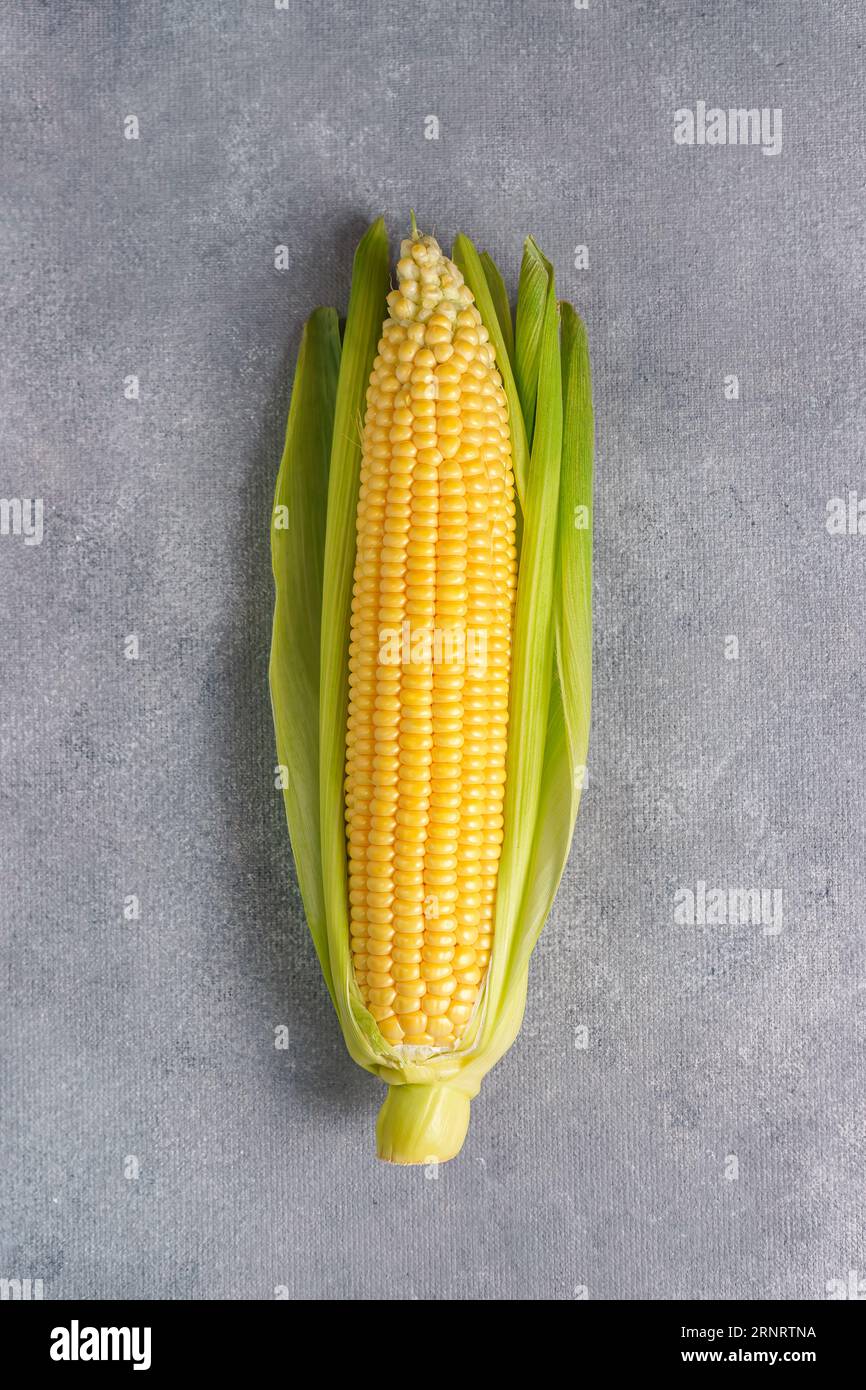 Fresh yellow ear of corn with green leaves on gray texture background ...