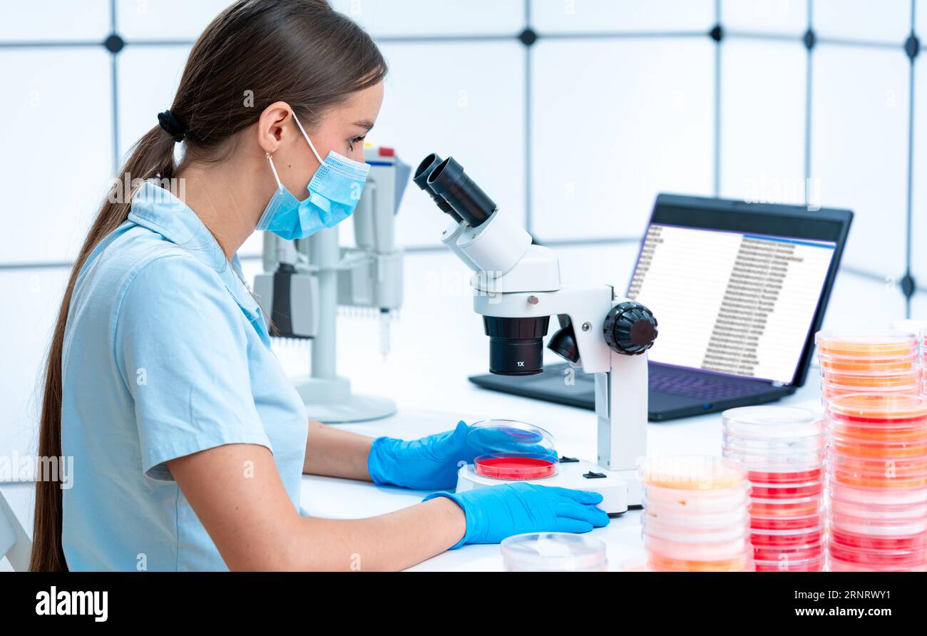 Gene knockout hi-res stock photography and images - Alamy