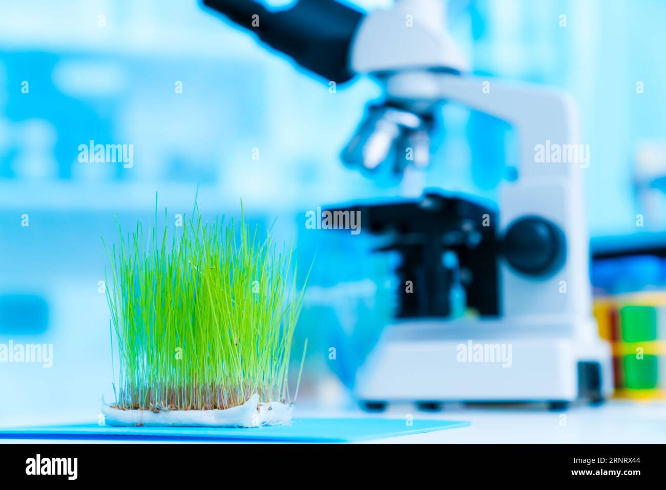 Examining the impact of different soil types on nutrient uptake ...