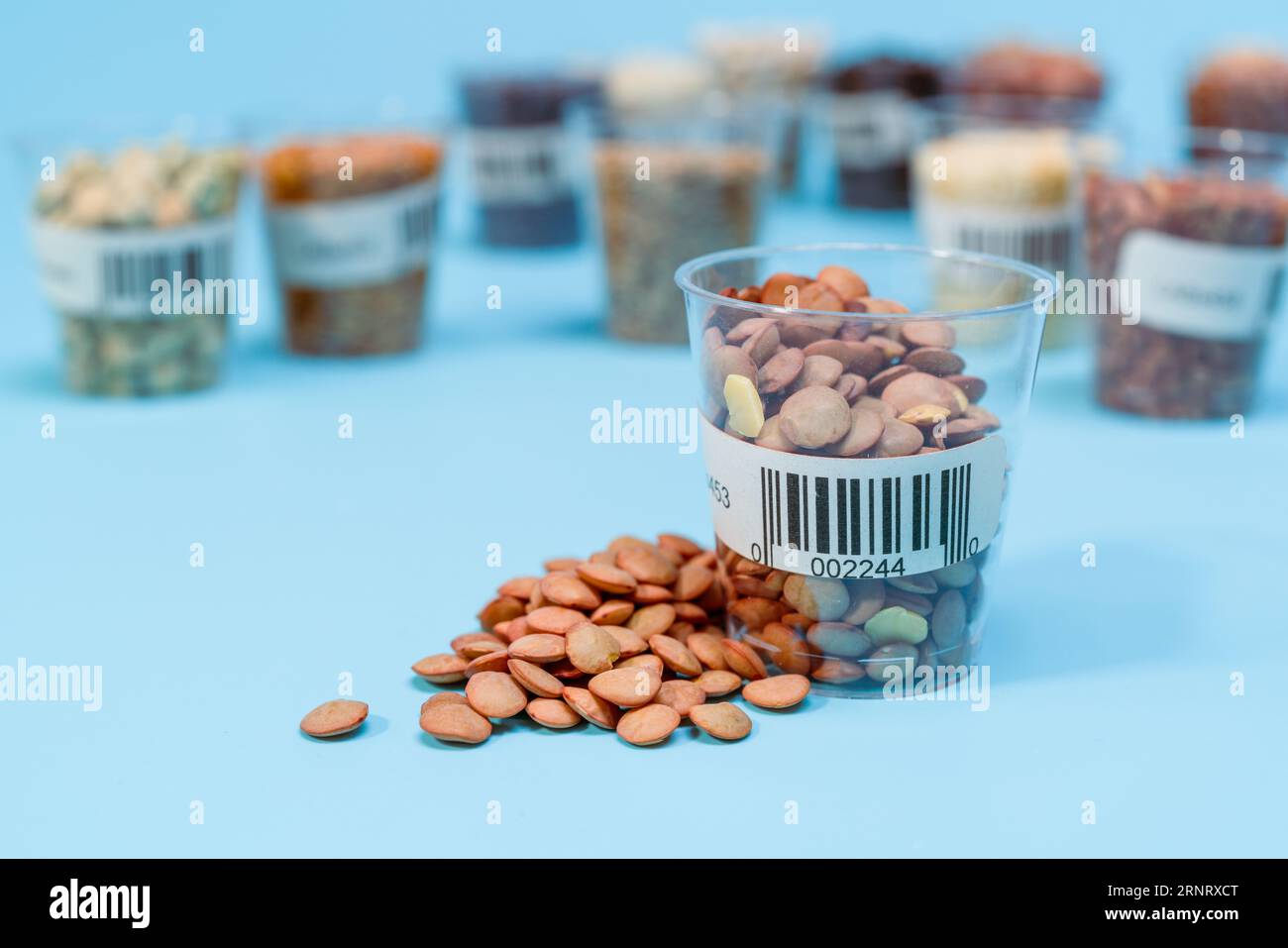 Genome Editing: Precise modification of specific genes using tools like ...