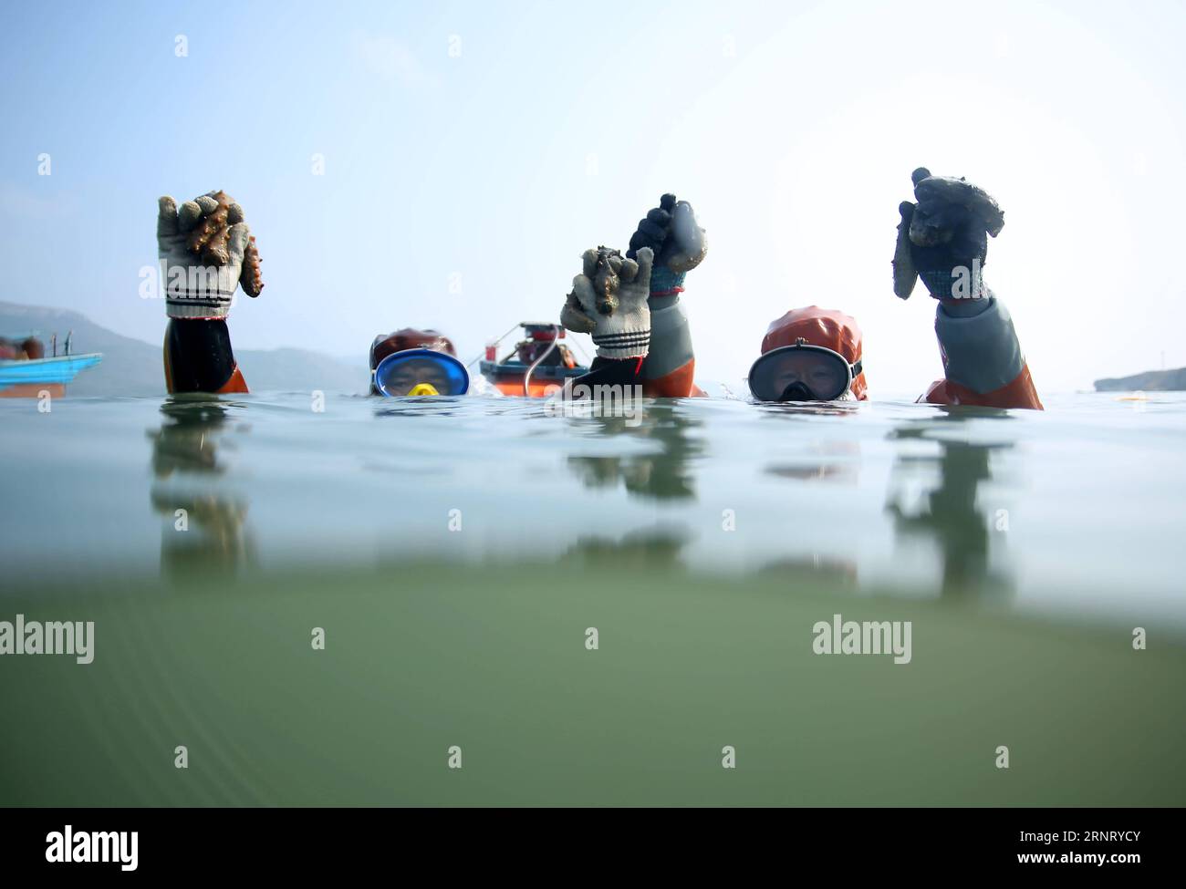 Qiu yan hi-res stock photography and images - Alamy