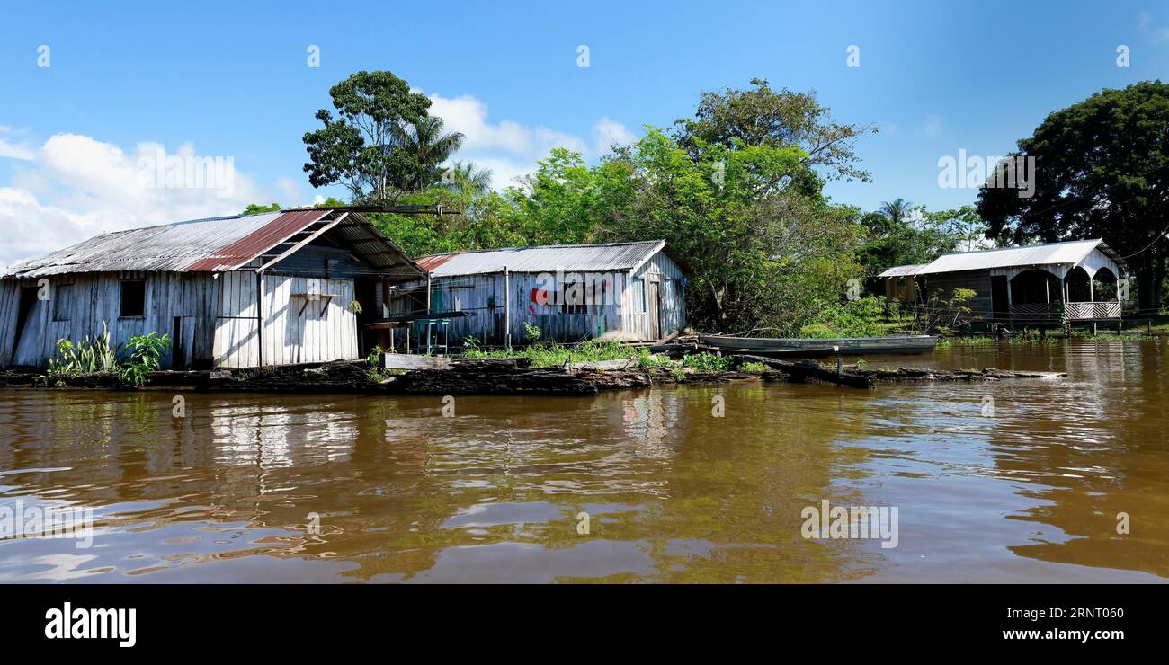 Houses on stilts in the flooded forest along the Rio Negro, Manaus ...