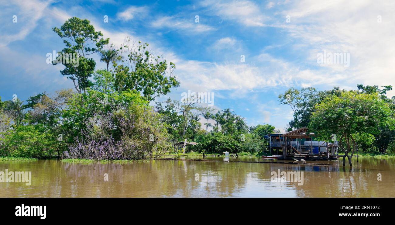 Houses on stilts in the flooded forest along the Rio Negro, Manaus ...
