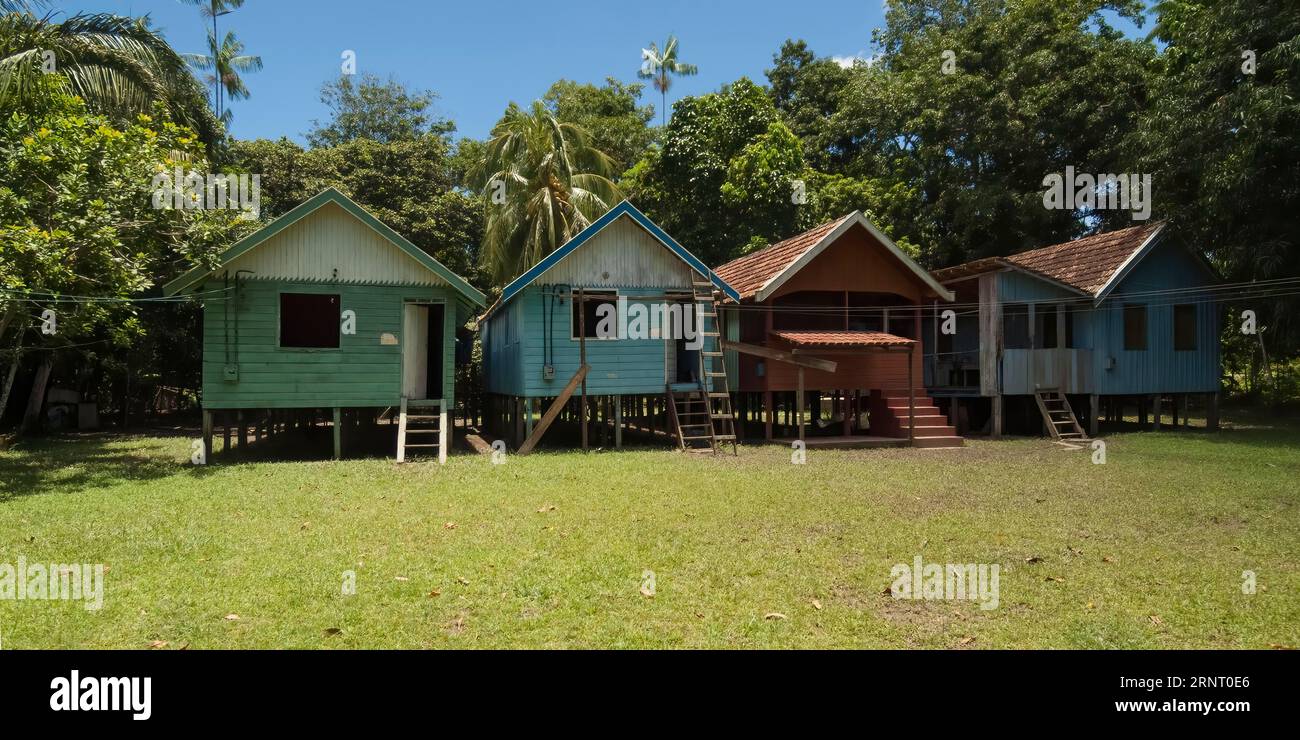 Traditional houses of a caboclos tribe along the (Amazona) river ...