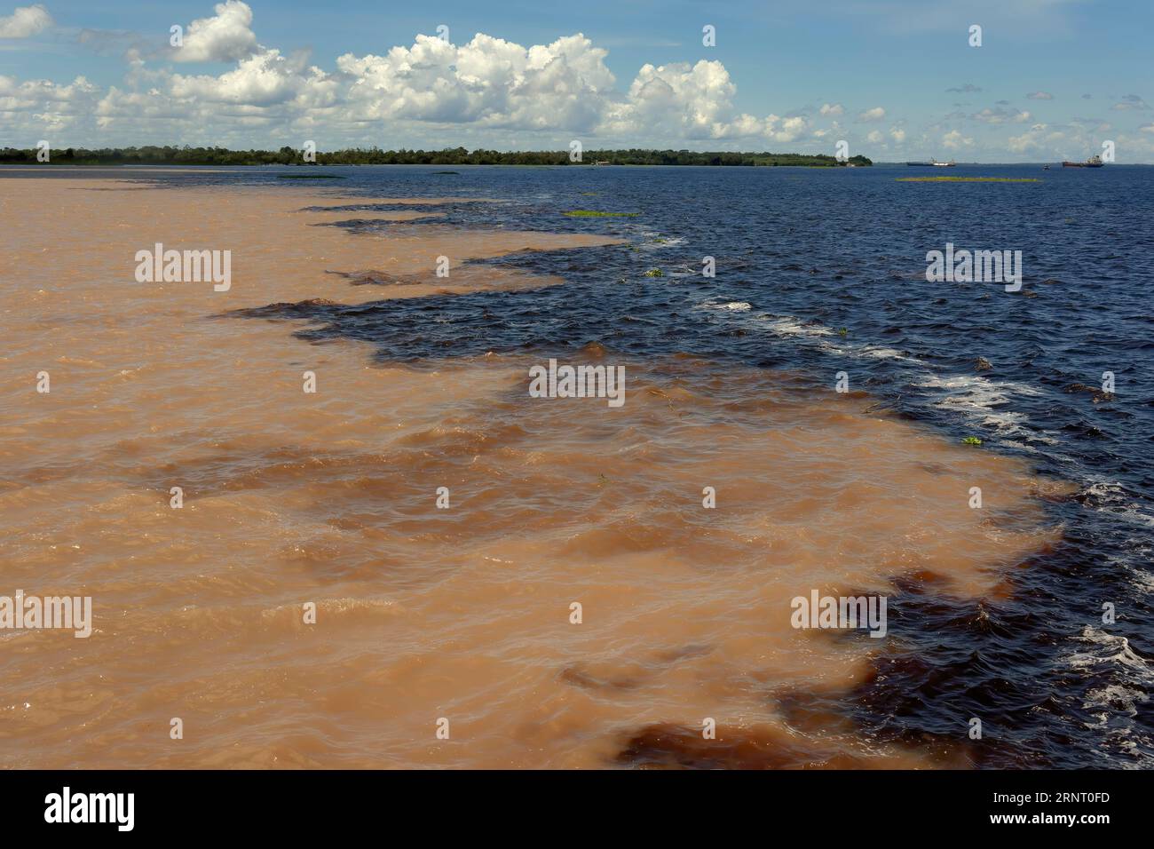 Confluence of the Rio Negro and Solimoes forming the Amazon river ...