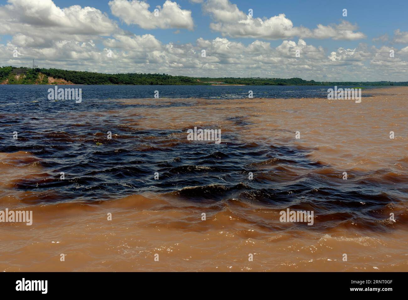 Confluence of the Rio Negro and Solimoes forming the Amazon river ...