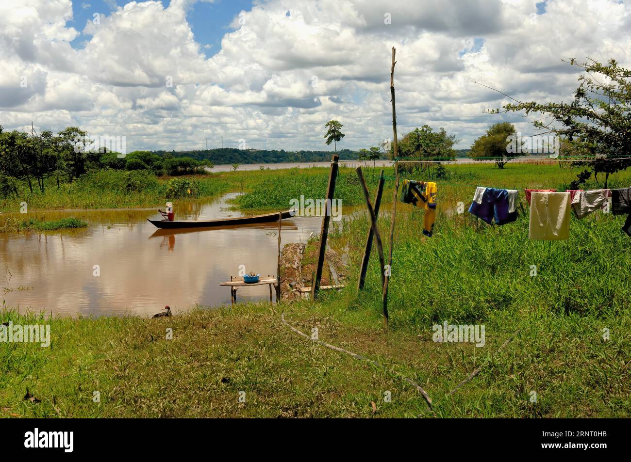 Man of caboclos tribe paddling in his canoe (Amazona) river, Amazon ...