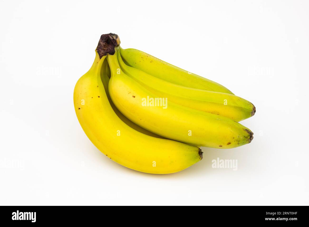 Against almost white background hi-res stock photography and images - Alamy