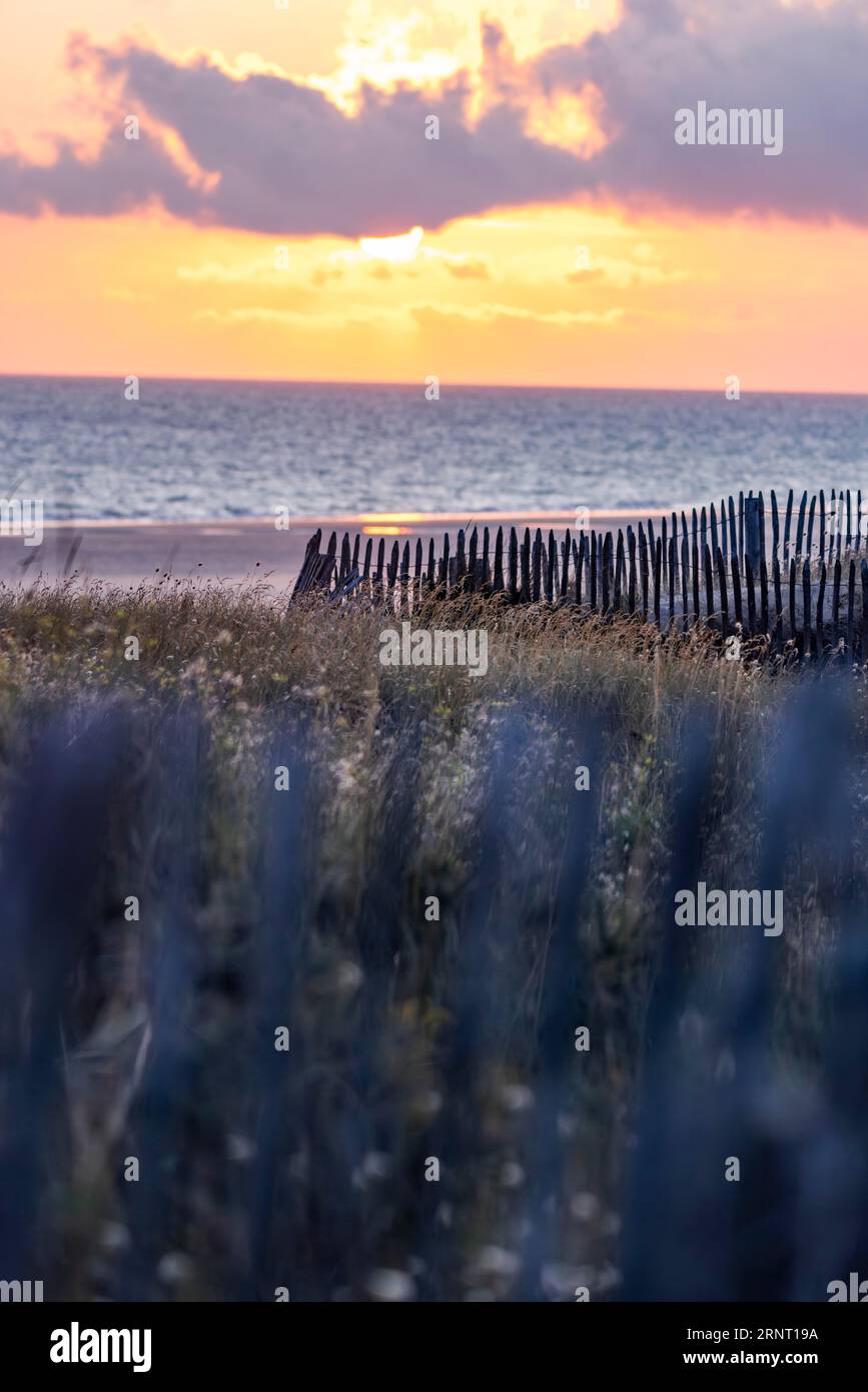 Wooden picket fence hi-res stock photography and images - Alamy