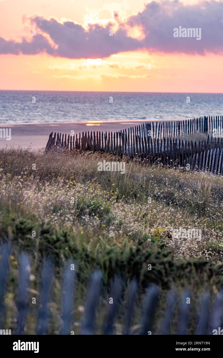 Wooden picket fence hi-res stock photography and images - Alamy