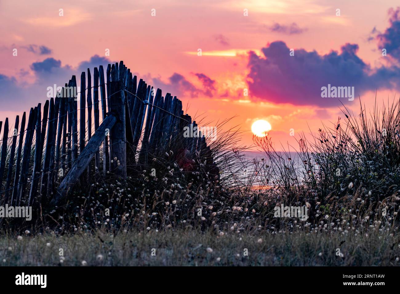 Wooden picket fence hi-res stock photography and images - Alamy
