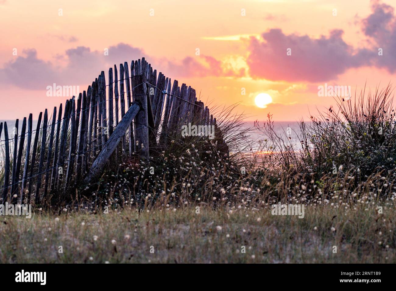 Wooden picket fence hi-res stock photography and images - Alamy