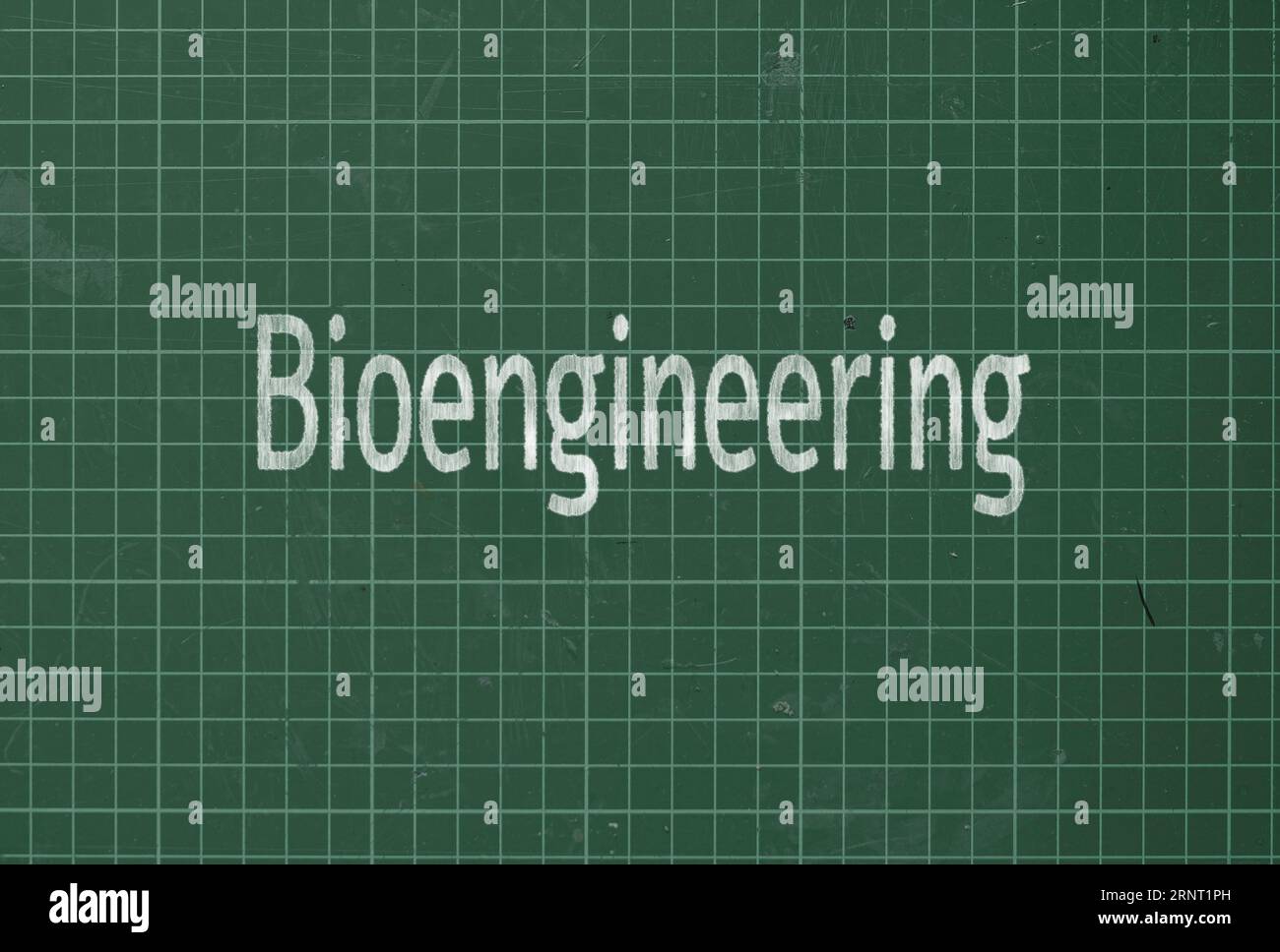 Bioengineering: Applies engineering principles to solve problems in the ...