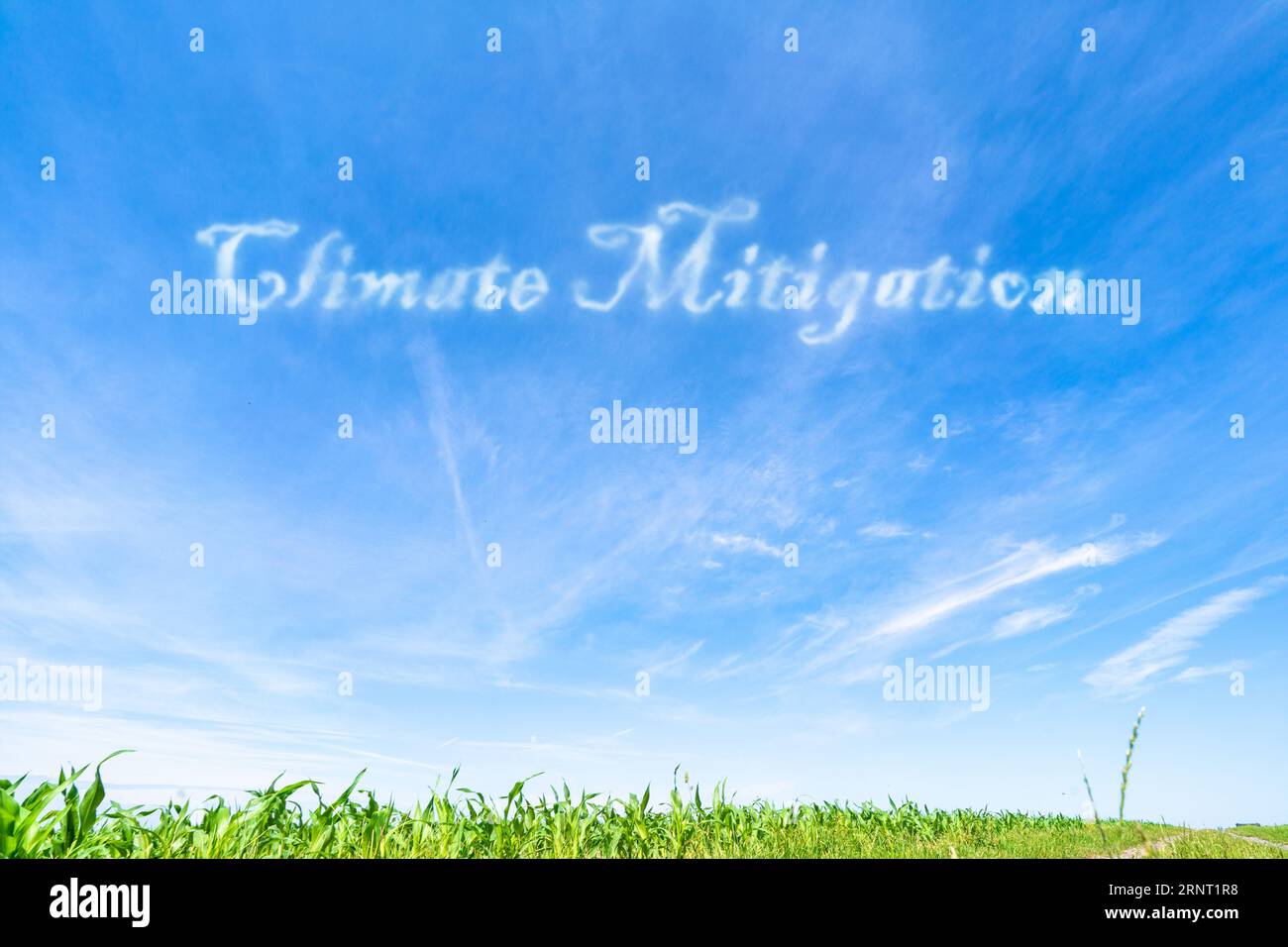 Climate Mitigation: Actions to reduce the severity of climate change ...