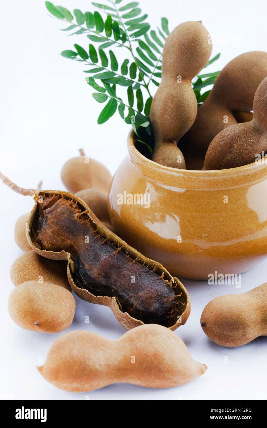 fresh Delicious ripe tamarinds, tamarind with brown pulp with green ...
