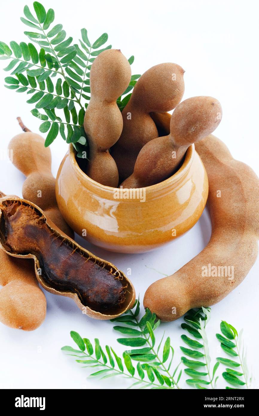 fresh Delicious ripe tamarinds, tamarind with brown pulp with green ...