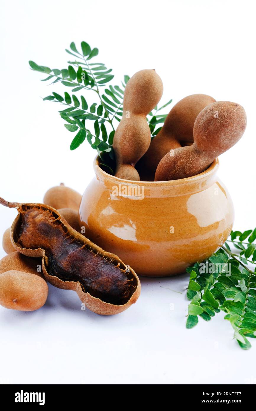 fresh Delicious ripe tamarinds, tamarind with brown pulp with green ...