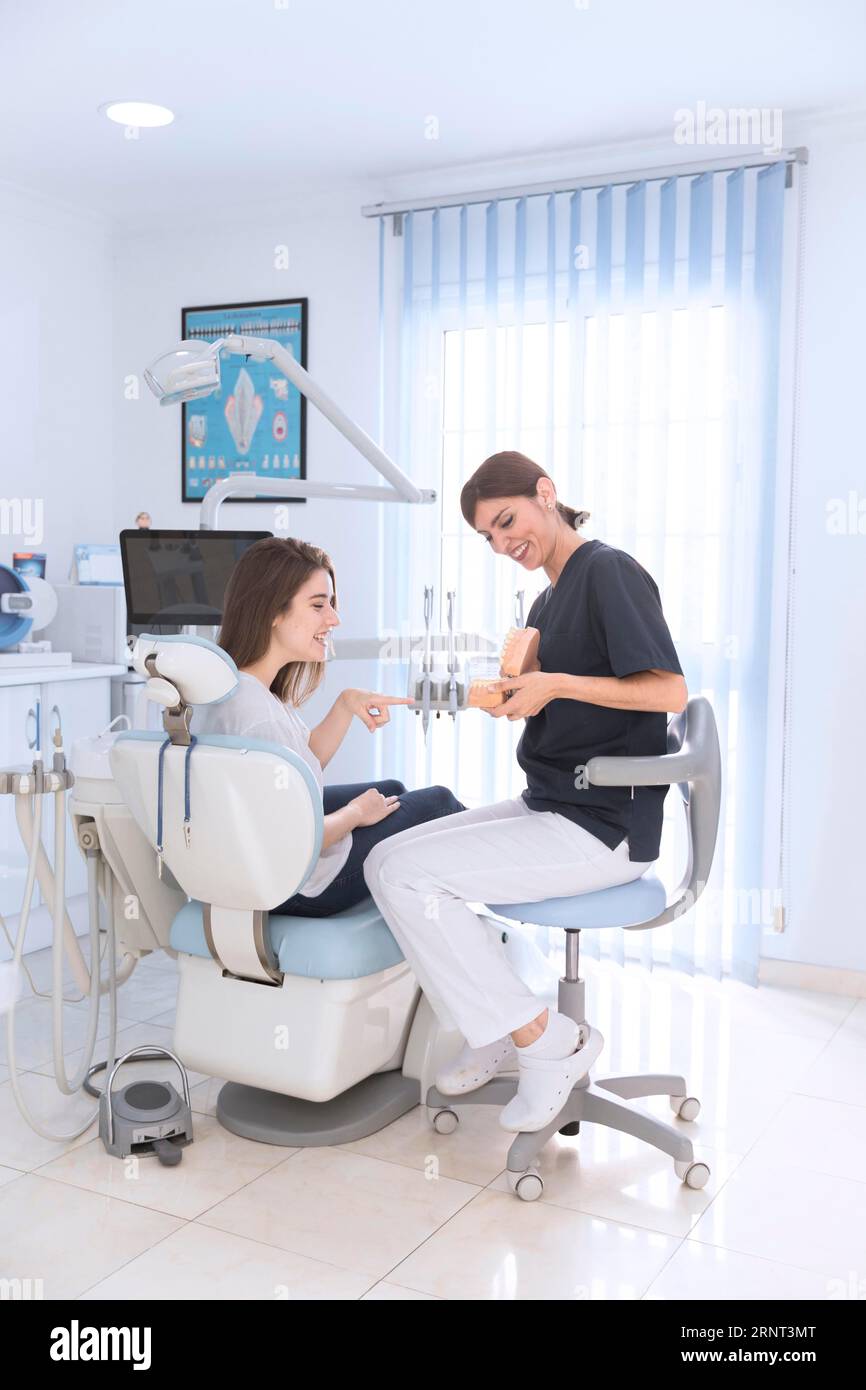Female dentist showing teeth model smiling patient clinic Stock Photo ...